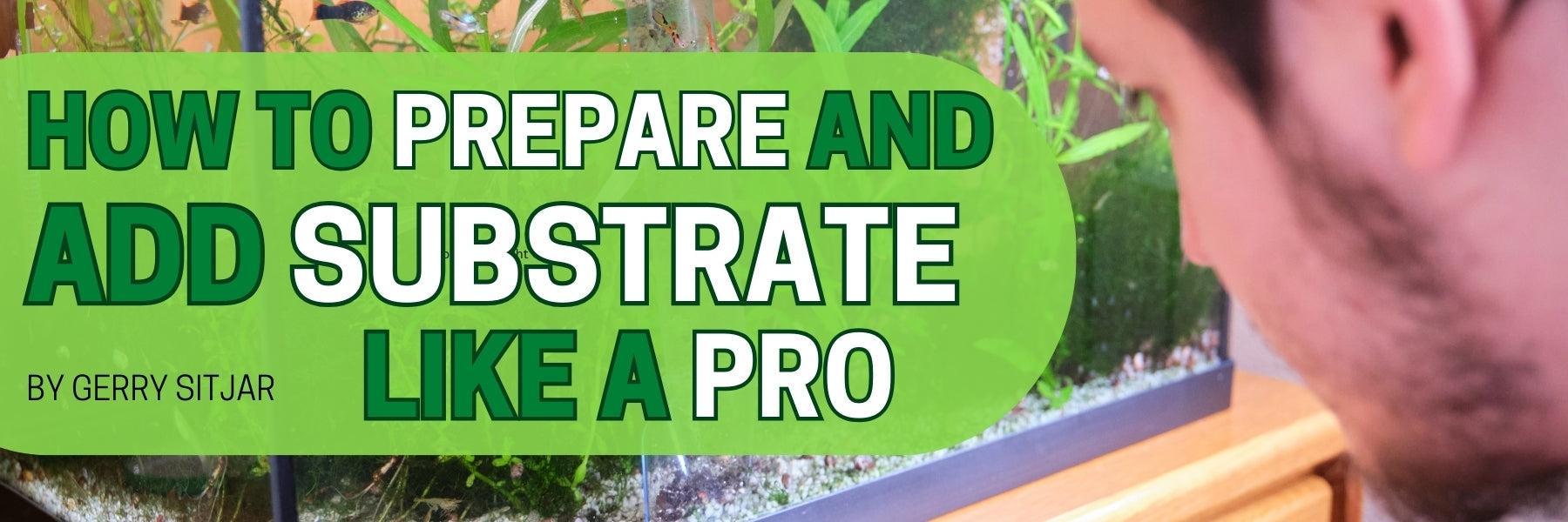 How to Prepare and Add Substrate Like a Pro – Glass Grown Aquatics
