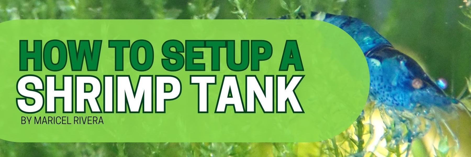 How to Setup a Shrimp Tank – Glass Grown Aquatics