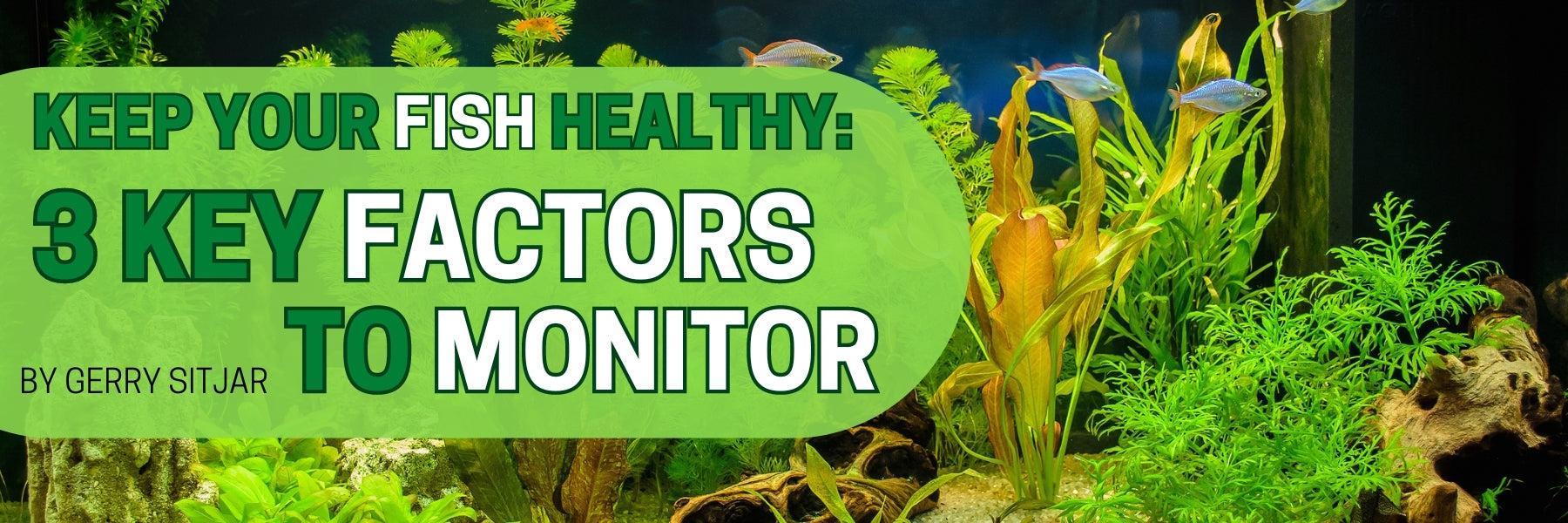 Keep Your Fish Healthy: 3 Key Factors to Monitor – Glass Grown Aquatics