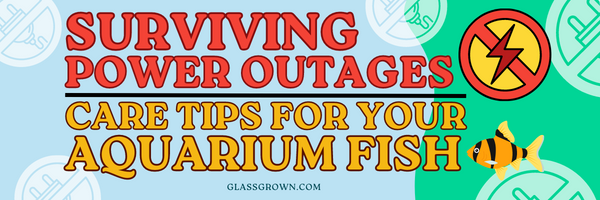 Surviving Power Outages - Care Tips for Your Aquarium Fish – Glass ...