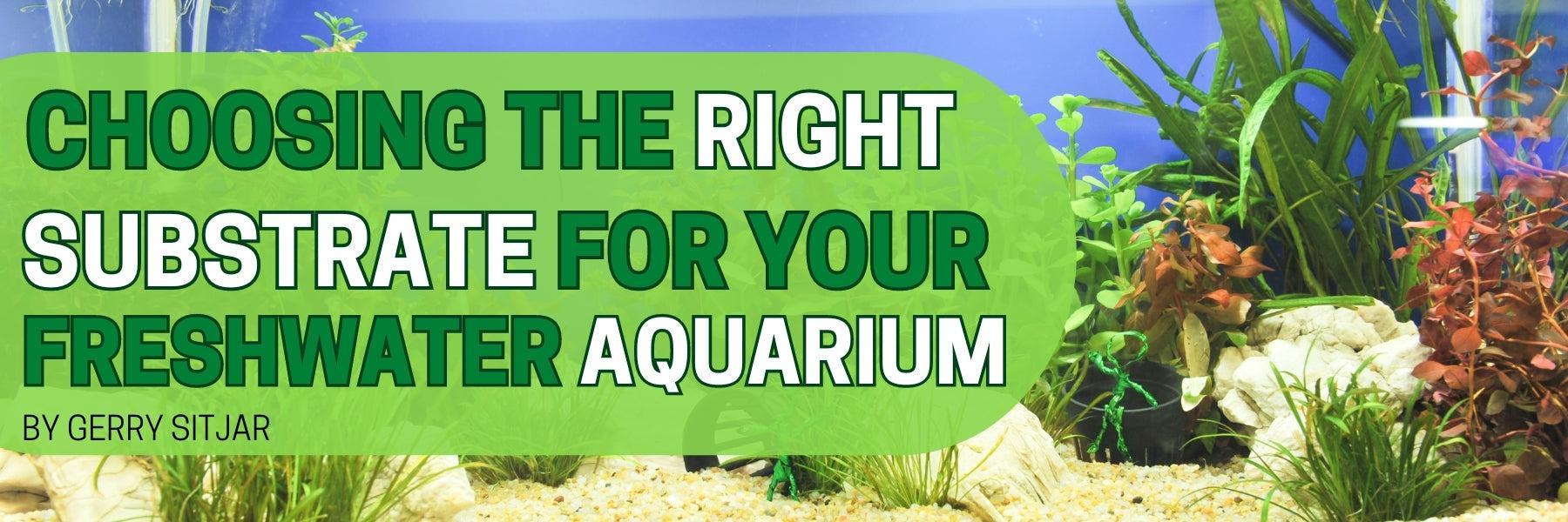 Tips for Choosing the Right Substrate for Your Freshwater Aquarium ...