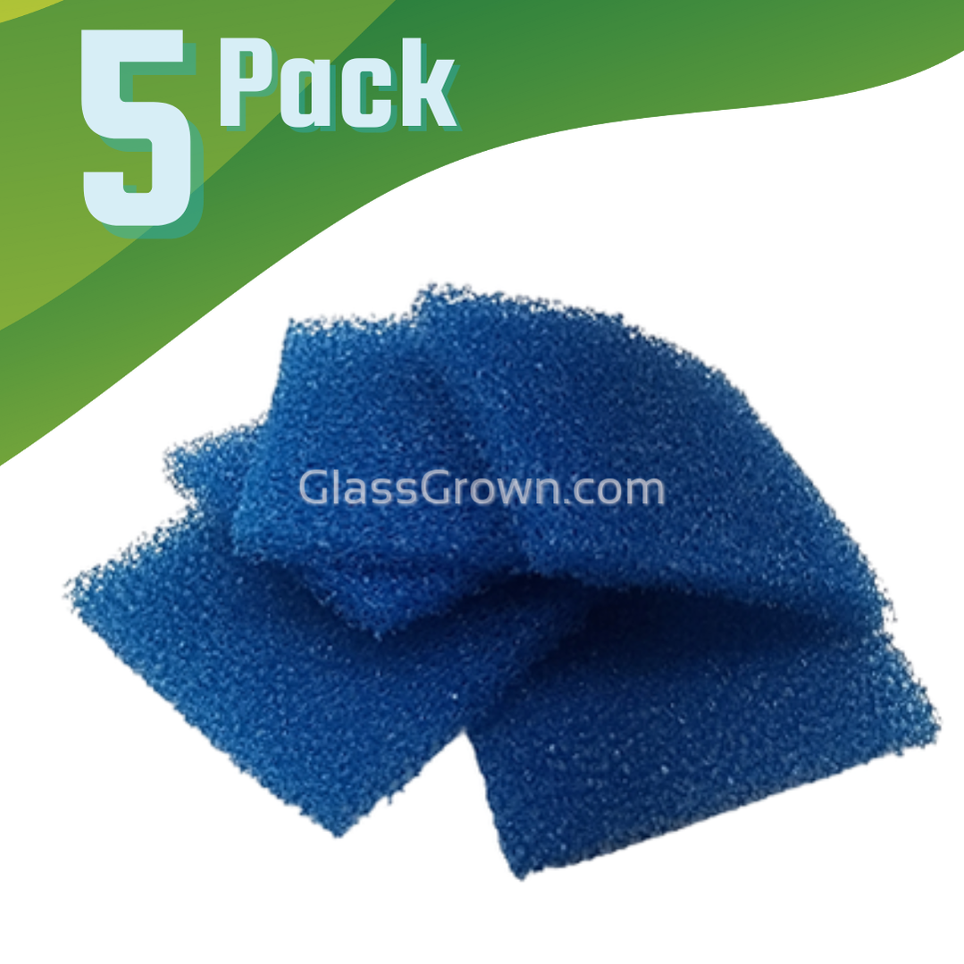 Coarse Sponge Filter Pads 5 Pack – Glass Grown Aquatics