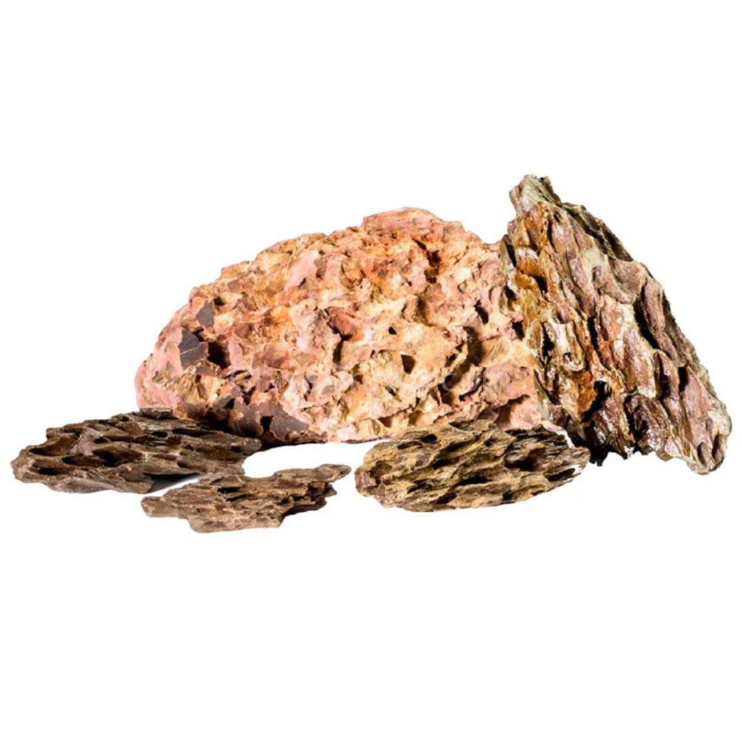 Aqua Natural Dragon Rock – Glass Grown Aquatics