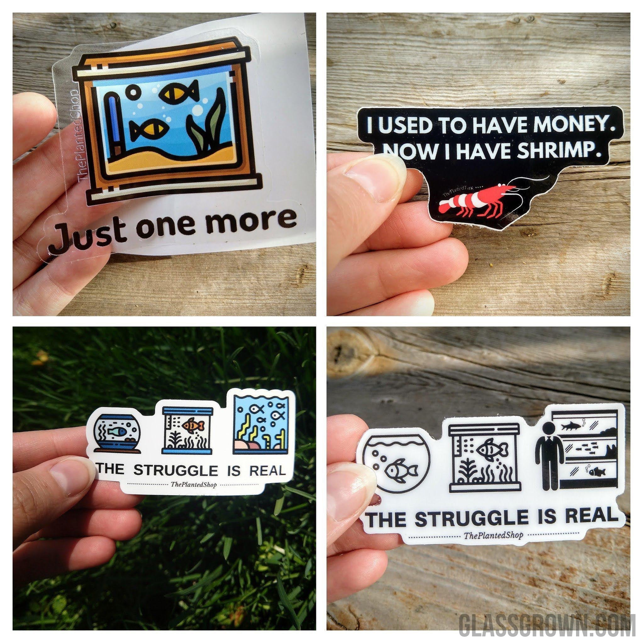 4- Pack Bestselling Aquarium Decal Stickers – Glass Grown Aquatics